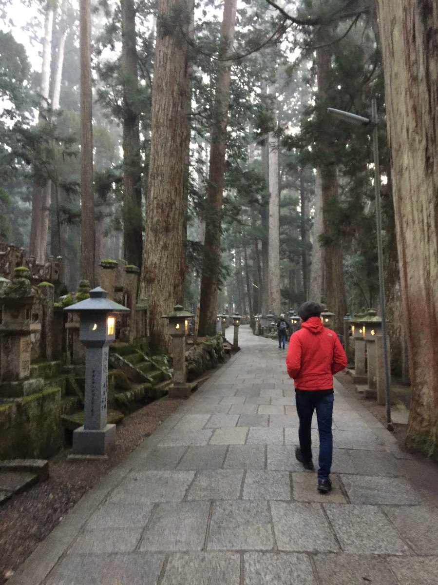 Trip to Japan: Highlights and Recommendations – Peter Nakamura